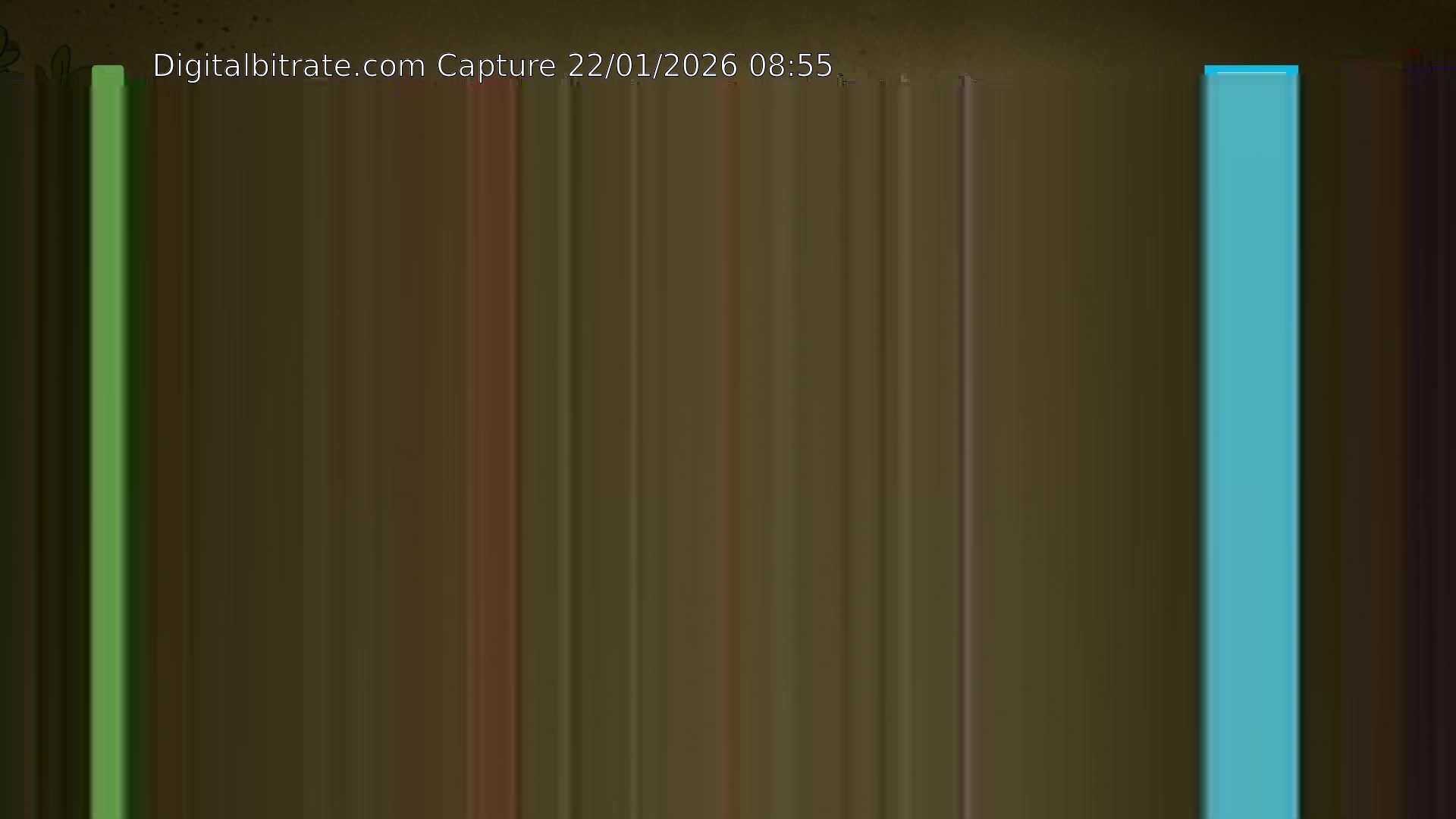 TV channels and Radio bitrates DAB+ DTT FIBER Satellite Cable OTT