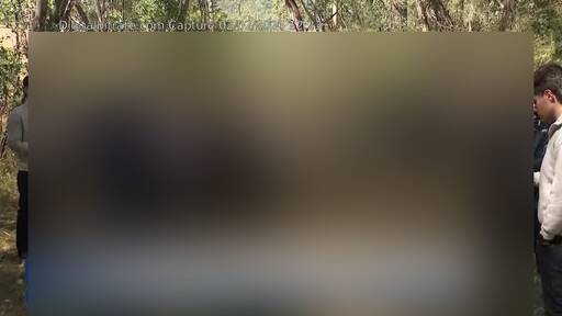 DVBT DVBT2 Bitrate Monitoring ABCTV HD - ABC - DTT Australia Perth