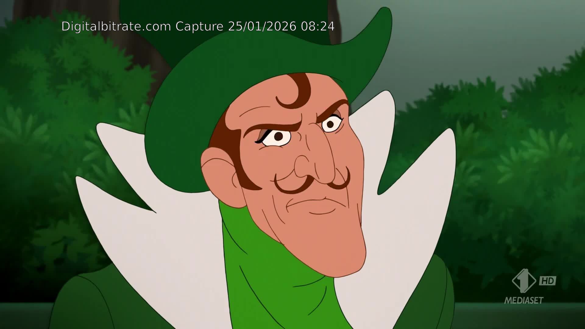 TV channels and Radio bitrates DAB+ DTT FIBER Satellite Cable OTT