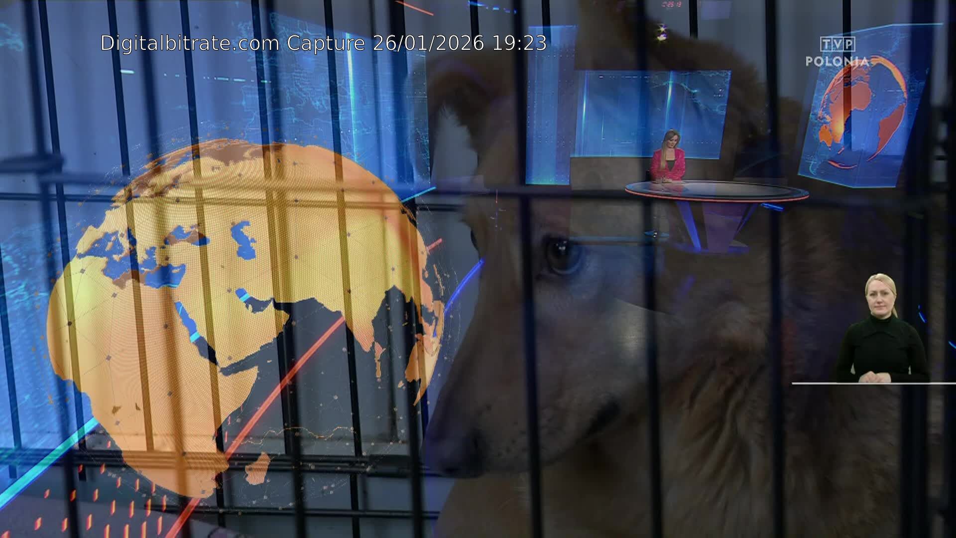 DVBT DVBT2 Bitrate Monitoring TVP Polonia - MUX6 - DTT Poland Katowice